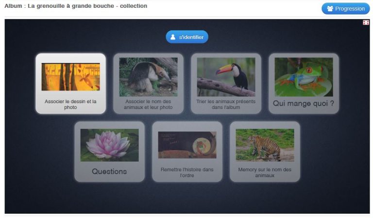 La grenouille à grande bouche (album)